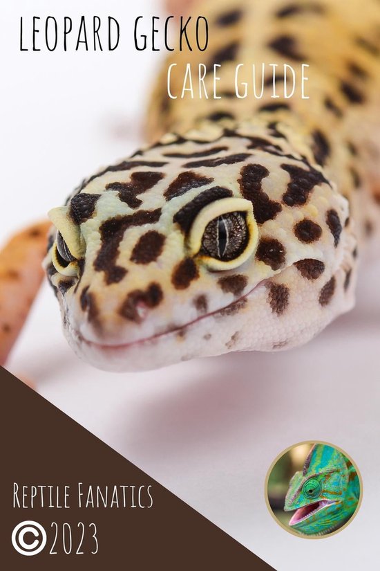 Leopard Gecko Care Guide (ebook), Reptile Fanatics | 9798215533857 ...