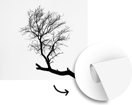Behang - Fotobehang Silhouet van een boomtak - Breedte 220 cm x hoogte ...