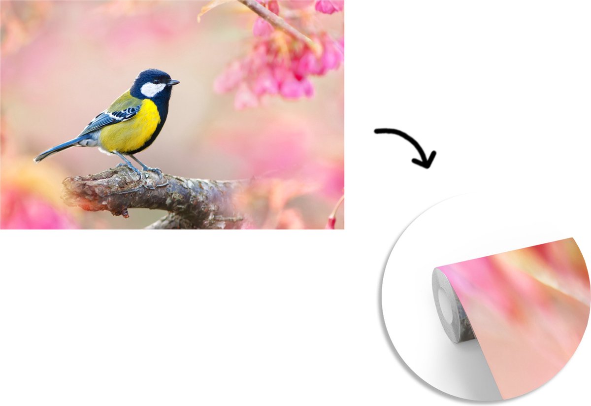 Behang - Fotobehang Zachte kleuren rond de gele koolmees - Breedte 600 ...