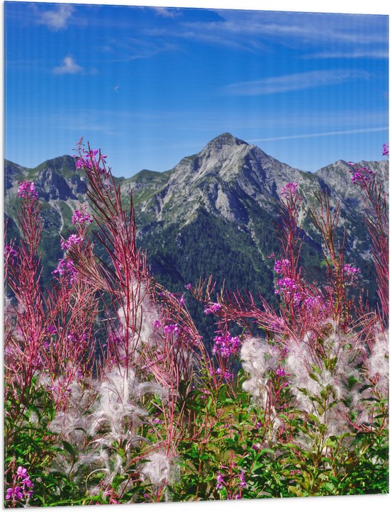 Vlag - Prachtige Bloemen aan de Rand van Cliff in Berggebied - 75x100 ...