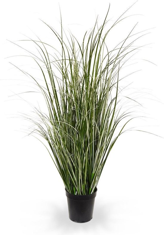 Kunst Rietgras plant 80cm - groen/crème | bol