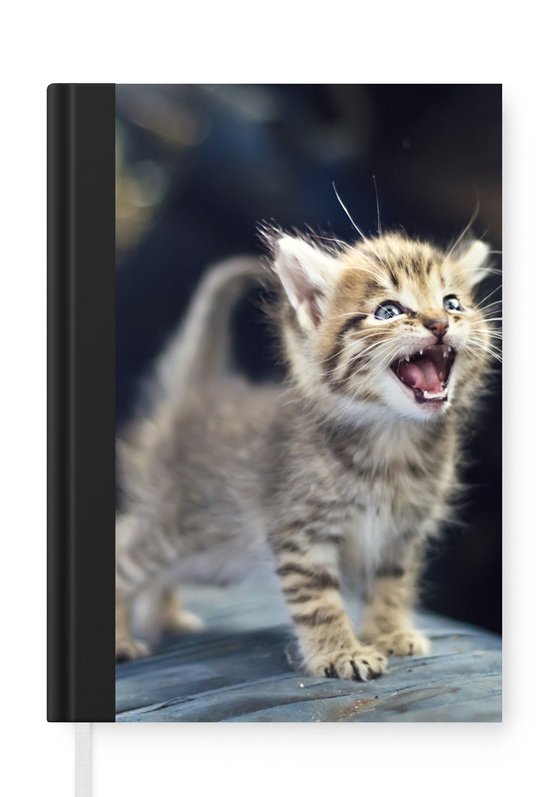 Carnet - Cahier d'écriture - Un chaton solitaire pleure pour de la ...