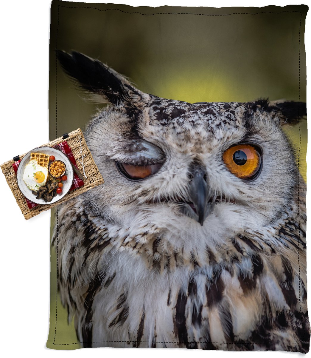 Waterdicht Picknickkleed - Geschikt als Strandlaken / Strandmat - Uil ...
