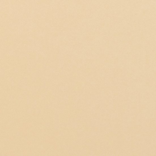 Tonic pearlescent karton - ivory sheen 5 vl A4 9512E | bol