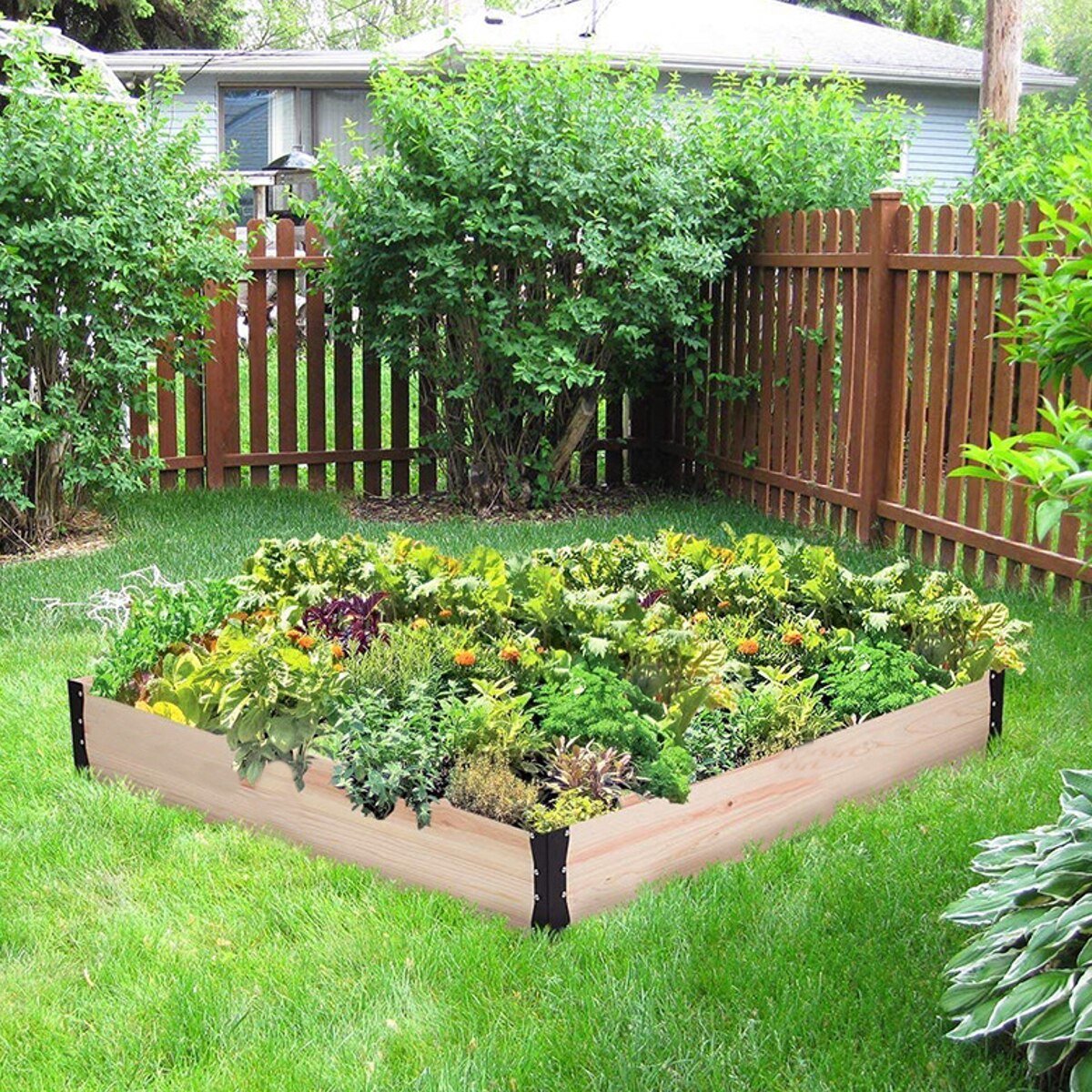 Temz® Kweekbak Verhoogd - Moestuinbak - Kweekbak - Verhoogde ...