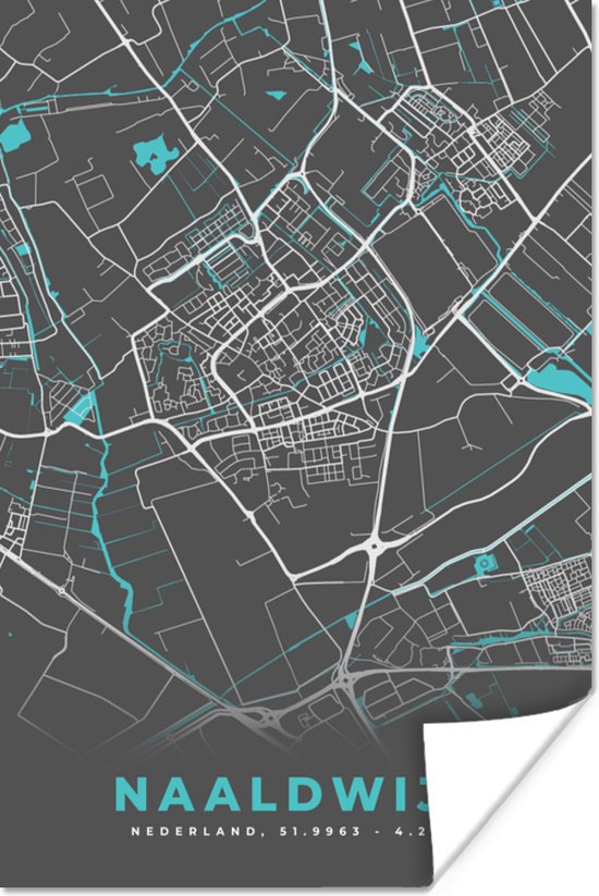 Poster Plattegrond - Naaldwijk - Stadskaart - Kaart - 40x60 cm | bol