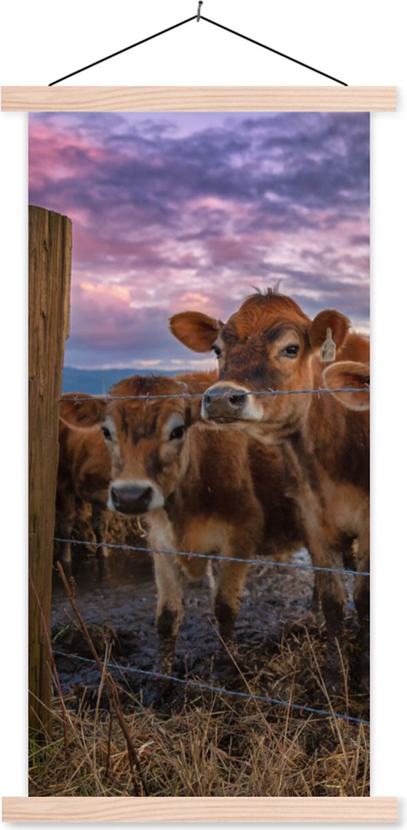 Porte-affiche avec affiche - Affiche scolaire - Vache - Animaux ...