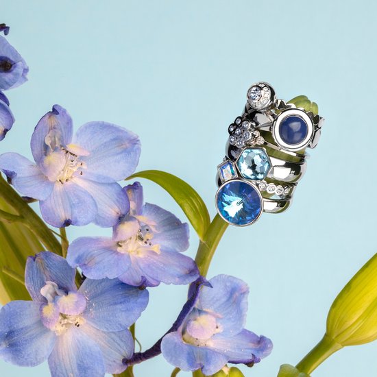 Melano Twisted stone pointy RG, Crystal silver shade | bol