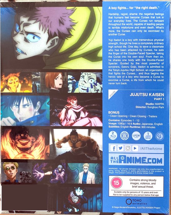 Jujutsu Kaisen - Part 1 [Collector's Limited Edition] (Blu-ray & CD ...