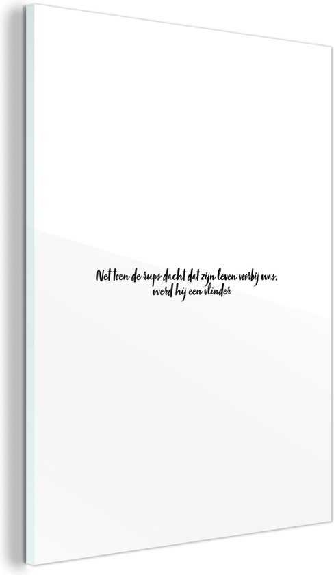 Glasschilderij - Humor - Tekst - Quotes - Net toen de rups dacht dat ...