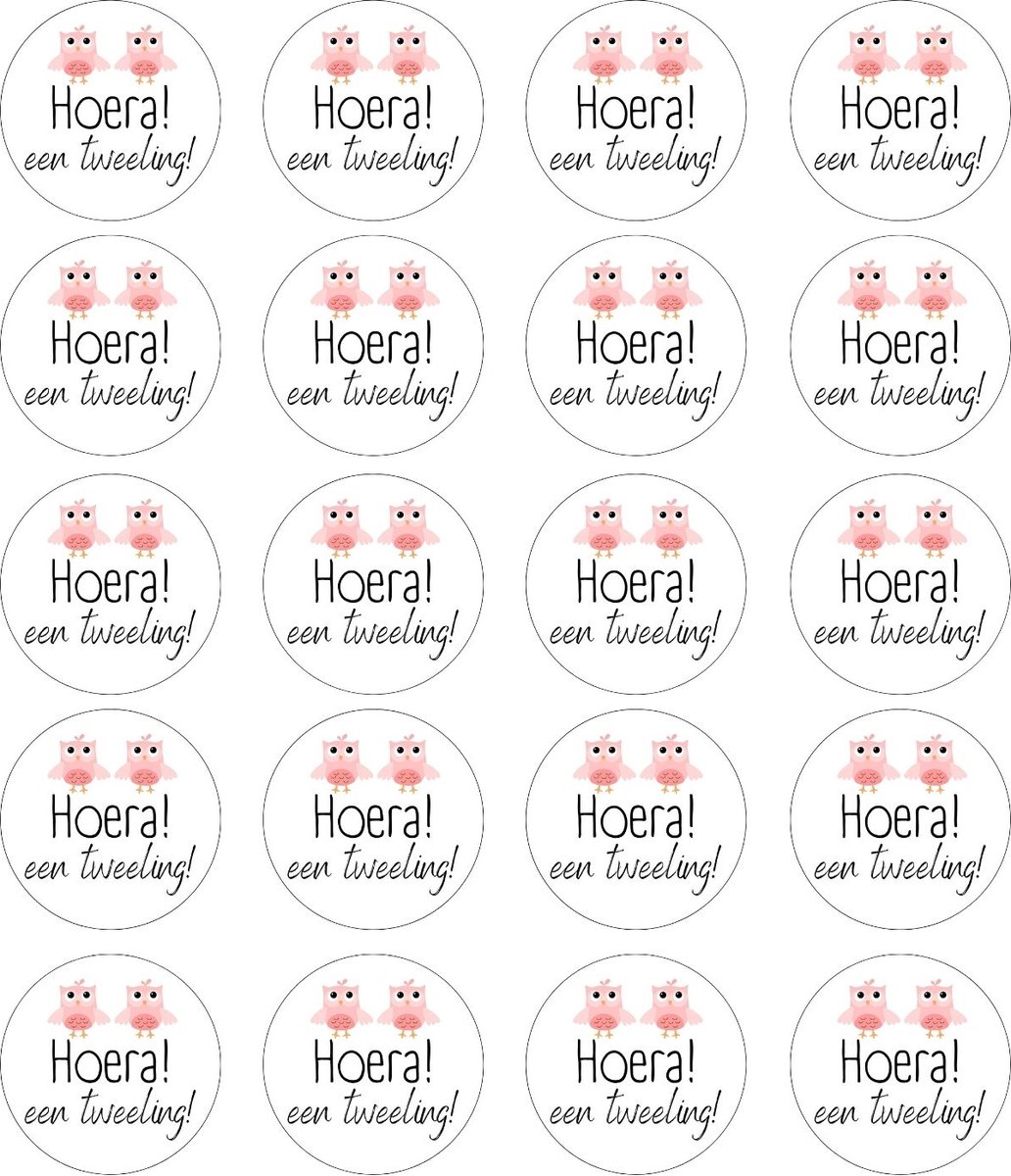 20 x Sluitsticker Tweeling Meisjes Geboren Stickervel | Roze Wit | 40 ...