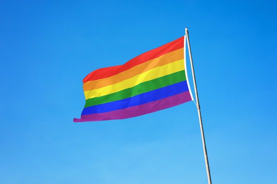 Regenboog vlag | 150 x 100 cm | Pride and predjudice | Gay Pride | Vlag ...