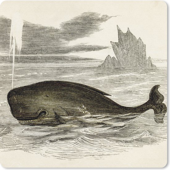 Muismat - Een vintage tekening van een walvis - 20x20 | bol
