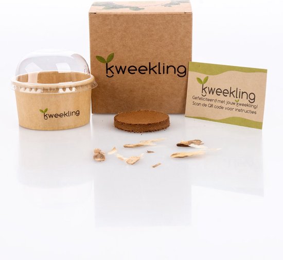 Kweekling - Kamerplanten kweekset - Frangipani - incl zaden ...