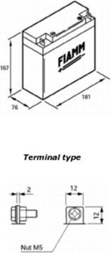FIAMM FGC21803 CYCLE 12V 18Ah LEAD ACID BATTERY | bol