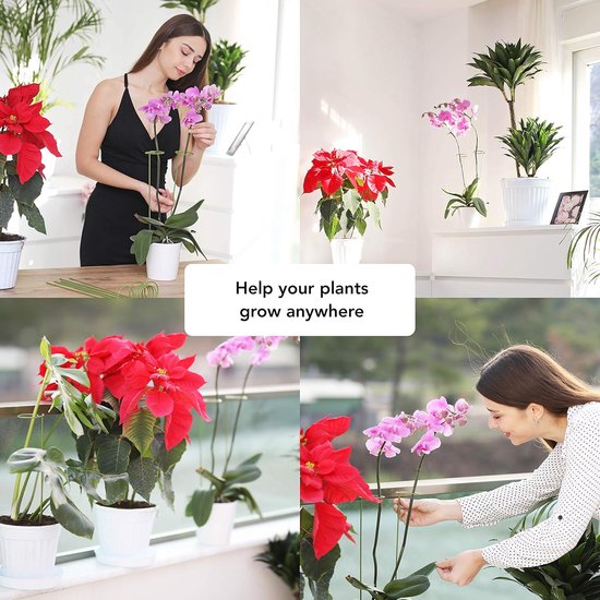 Plantensteun voor Bloemen - Groeiende Planten - 2 Stuks | bol