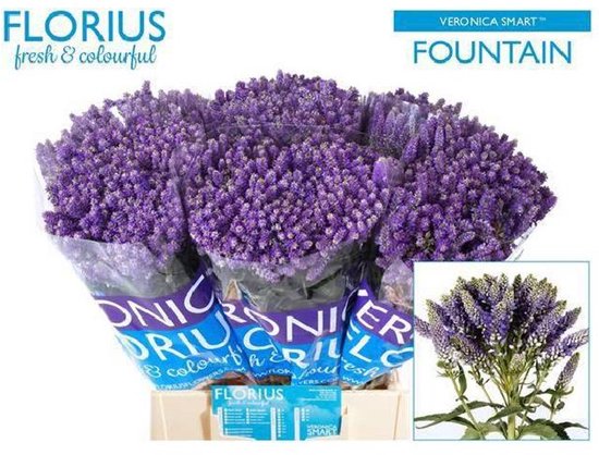 20x Veron.smart fountain 50cm | bol