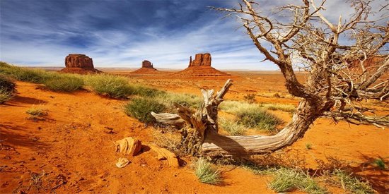 Reptiel Habitat Achtergrond - Oranje Woestijn - 1 stuk - Vinyl ...