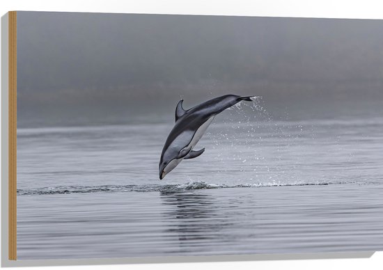 Hout - thomas-lipke-QIJvMvO3KFU-unsplash - 90x60 cm - 9 mm dik - Foto ...