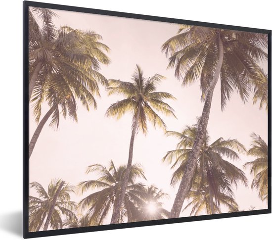Palmbomen - Groen - Zon - Natuur | bol.com
