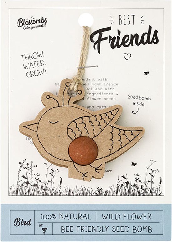 Blossombs bloembommetjes party hanger Best Friends! | bol.com