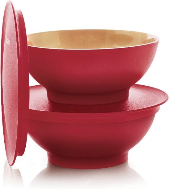 2 Tupperware Allegra Schaaltjes 275 ml Rood Goud | bol