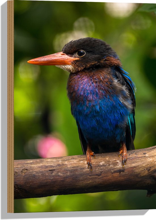 Hout - IJsvogel met Blauwe en Paarse Borst Zittend op Boomstam - 40x60 ...