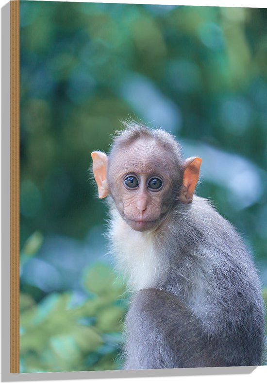 Hout - Schattig Klein Aapje met Grote Oren tussen de Planten - 50x75 cm - 9 mm dik -... | bol.com