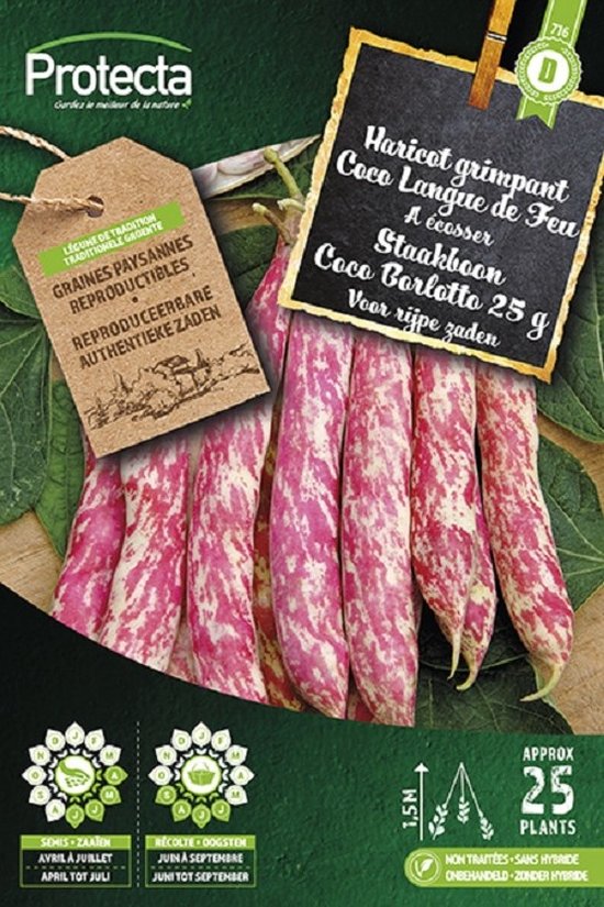 Protecta Groente zaden: Staakboon Coco Borlotto 25 g | bol