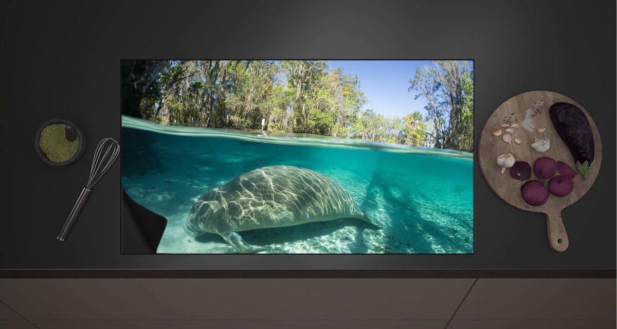 Inductie Beschermer - Doejong Zeekoe Zwemmend over de Bodem in Ondiep ...