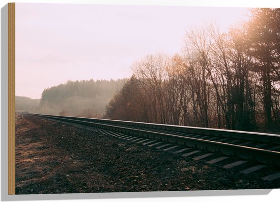 Hout - Treinspoor langs Bossen - 75x50 cm - 9 mm dik - Foto op Hout ...