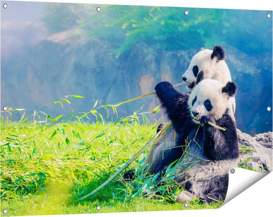Gards Tuinposter Twee Panda's Eten Bamboe Riet - 120x80 cm - Tuindoek ...