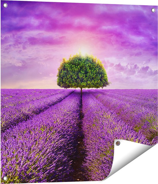 Gards Tuinposter Groene Boom in de Lavendel Bloemen - 70x70 cm - Tuindoek -... | bol
