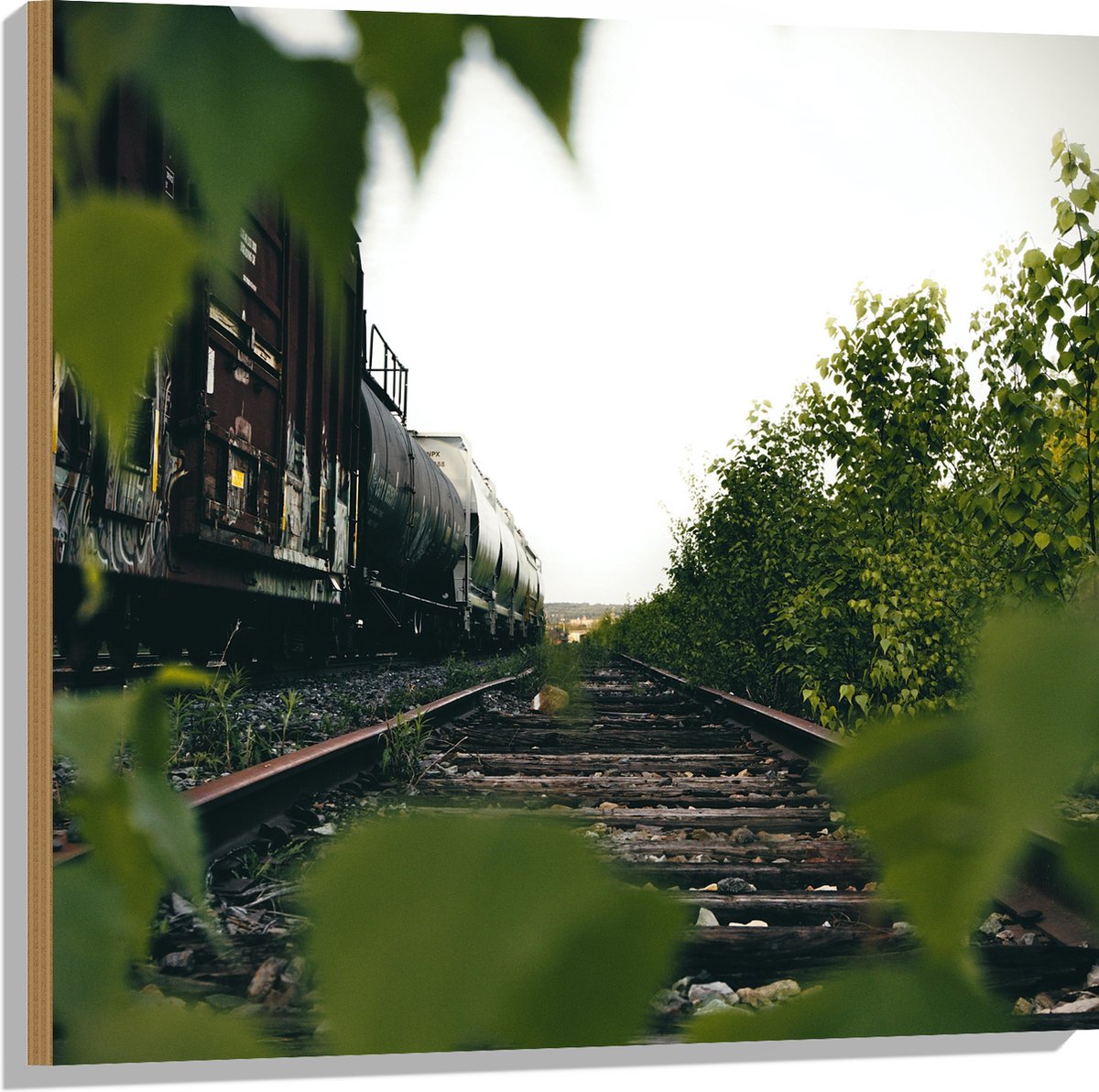 Hout - Begroeiing over het Spoor - 80x80 cm - 9 mm dik - Foto op Hout ...