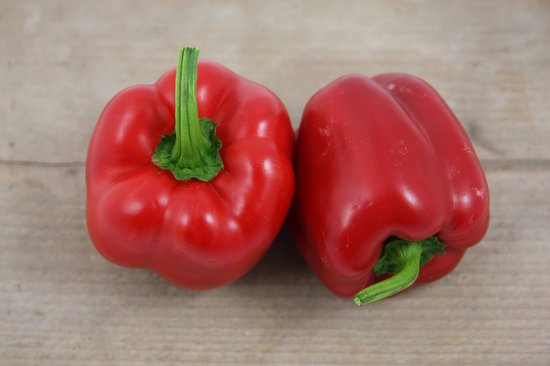 Rode paprika planten | bol.com