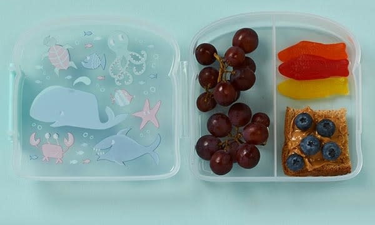 Sugar Booger sandwich box brooddoos Ocean | bol.com