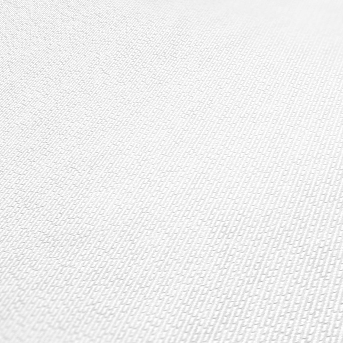 OVERSCHILDERBAAR VLIESBEHANG | Structuur - 25,00 x 1,06 meter - A.S ...