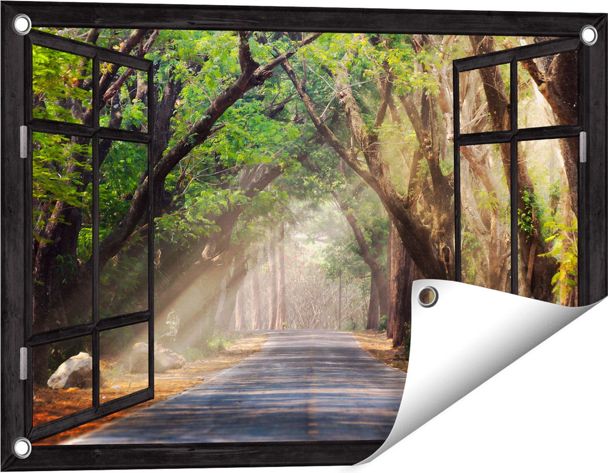 Gards Affiche jardin Route transparente entourée d' Arbres - 60x40 cm ...