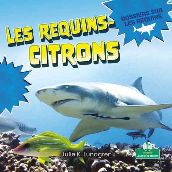 Dossiers sur les requins (Shark Files) - Les requins-citrons (Lemon ...