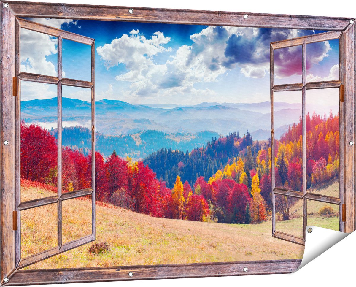 Gards Affiche de jardin Transparente Forêt d'automne colorée avec ...