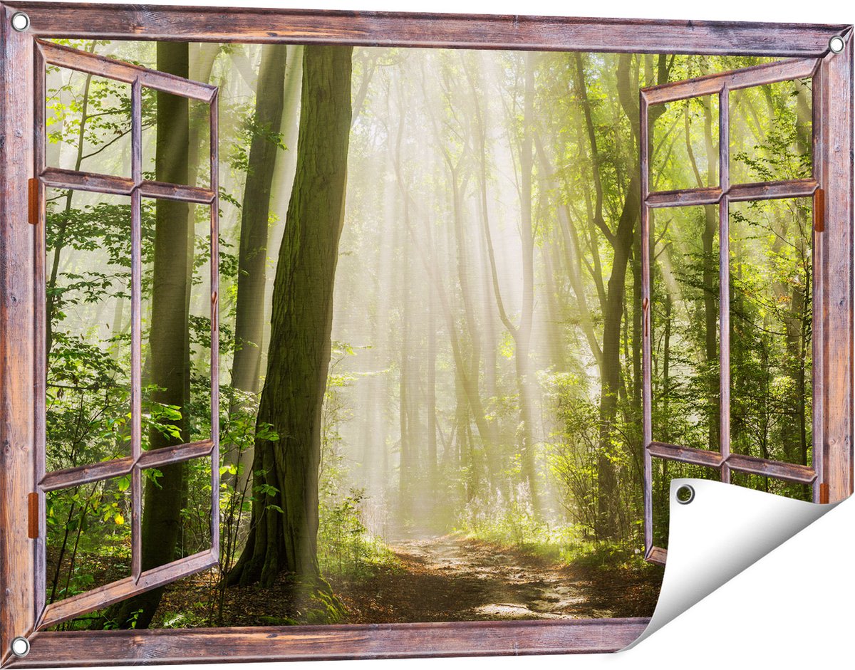 Gards Affiche de jardin Forêt transparente avec Arbres et soleil ...