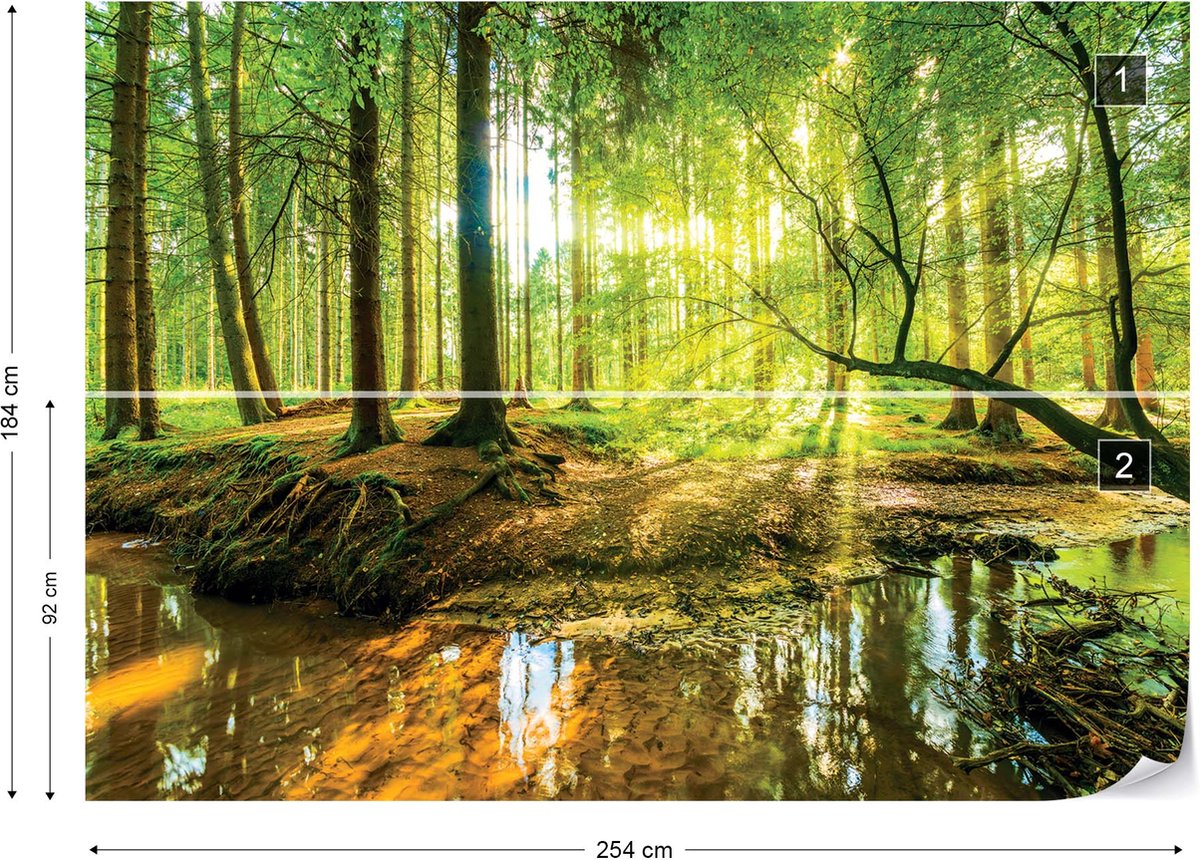 Fotobehang - Vlies Behang - Zonnig Bos met een Beek - 254 x 184 cm ...