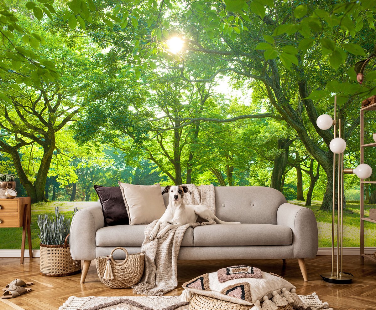 Fotobehang - Bomen - Natuur - Vliesbehang - (368 x 254 cm) | bol.com