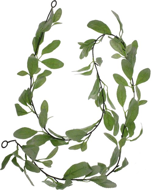 Guirlande Bladeren 9x180cm | bol