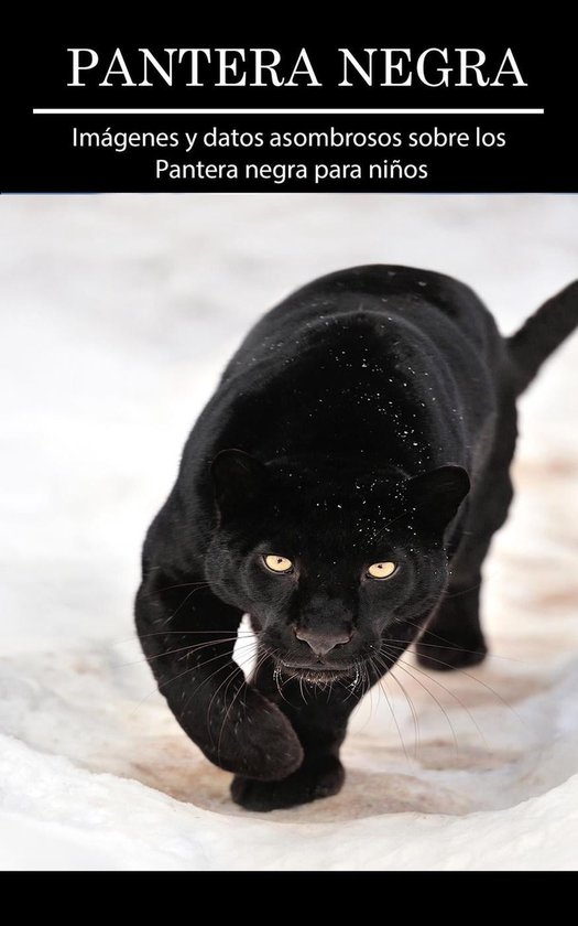 Pantera negra: Imágenes y datos asombrosos sobre los Pantera negra para niños (ebook),... | bol