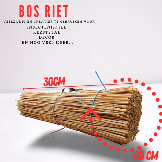 Riet 30cm lang en bundel omvang 60cm. Voor hobbyist, decor ...