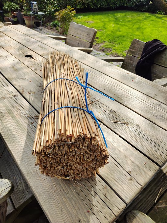 Riet 30cm lang en bundel omvang 60cm. Voor hobbyist, decor ...
