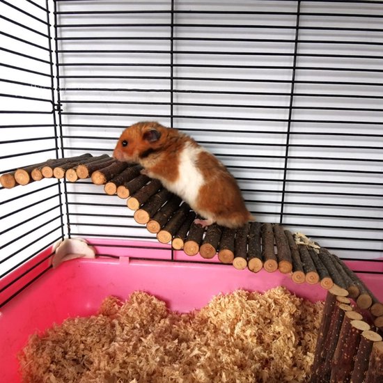 4 Stuks Hamster Speelgoed Set Houten Kooi Platform Klim Speelgoed ...