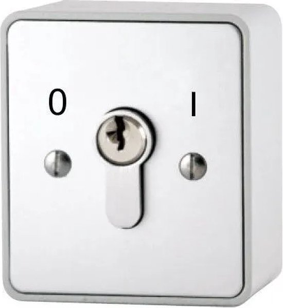Sleutelschakelaar + eurocilinder - opbouw - 2x wissel contact - Aluminium | bol