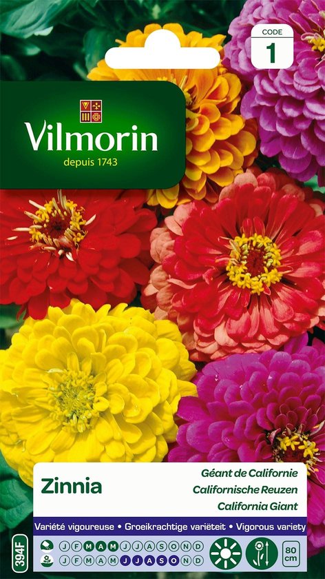 Vilmorin zinnia Californische reuzen gemengd/ mix | bol